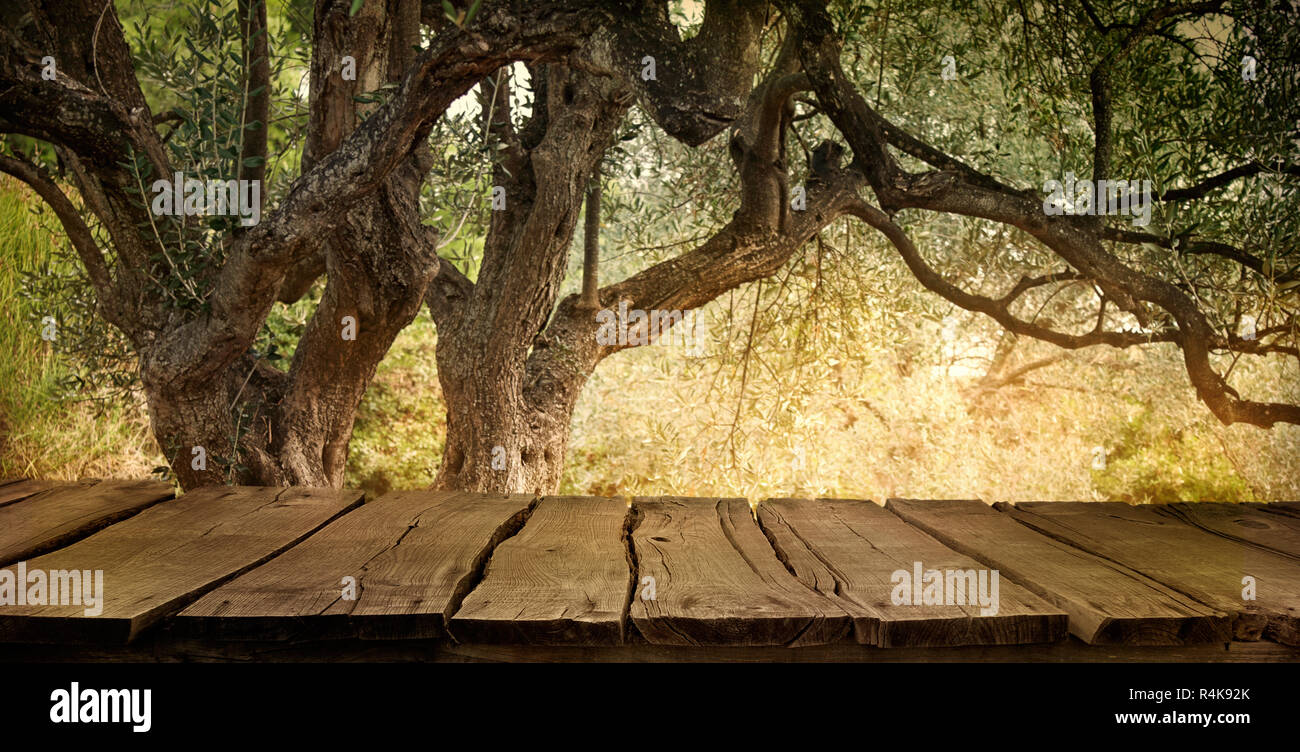 Olive tree with table Stock Photo - Alamy