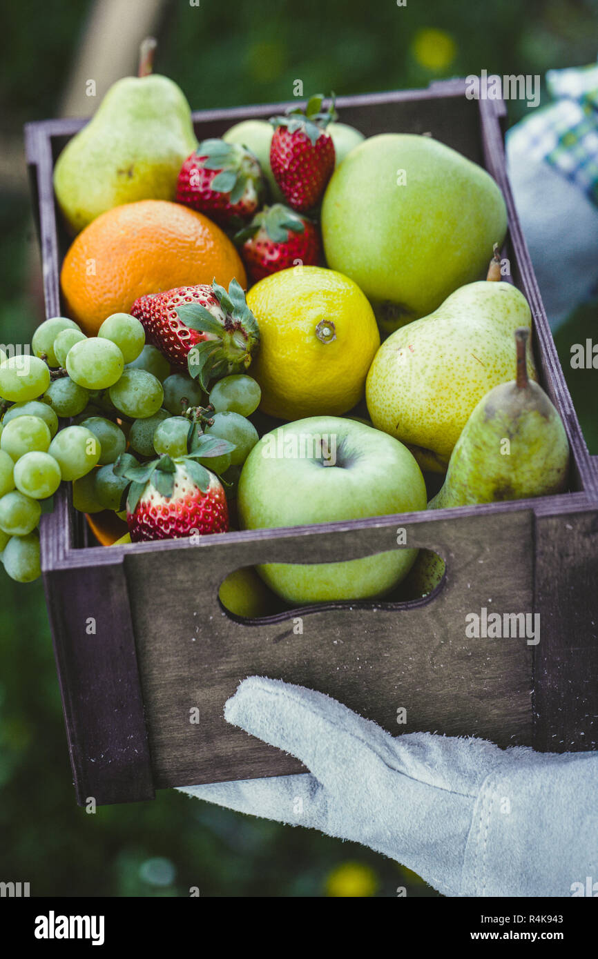 Fresh fruit and farmer Stock Photo - Alamy