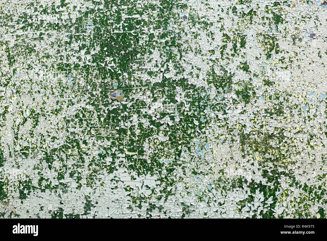 Green mottled peel hi-res stock photography and images - Alamy