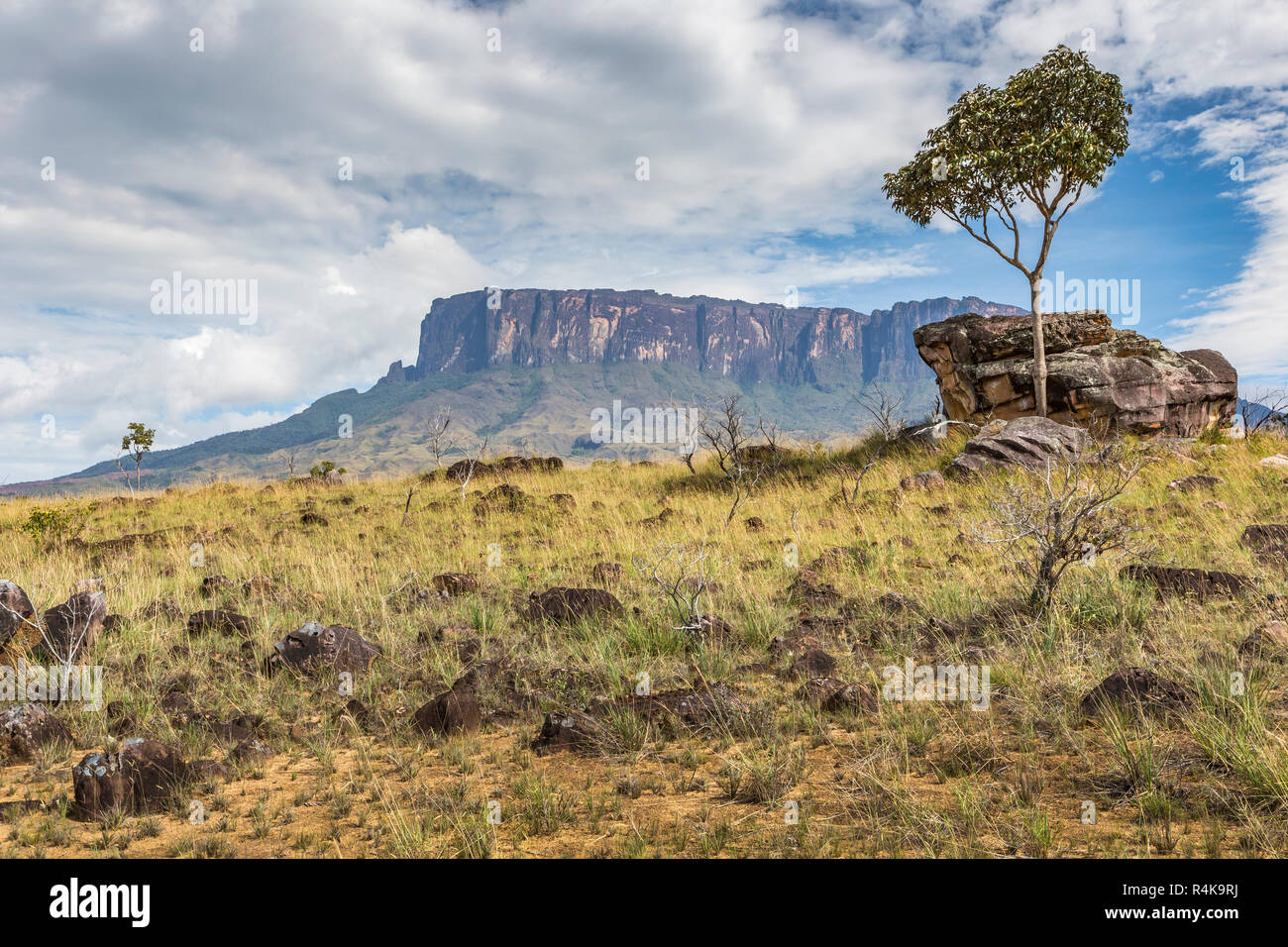 Tablemountain Roraima with clouds, Venezuela, Latin America Stock Photo ...
