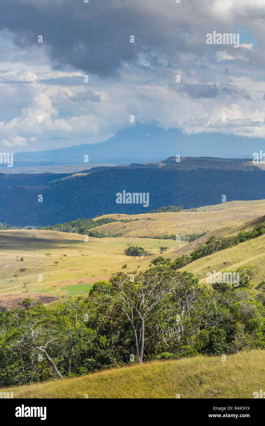Beautiful landscape characteristic for the Gran Sabana - Venezuela ...