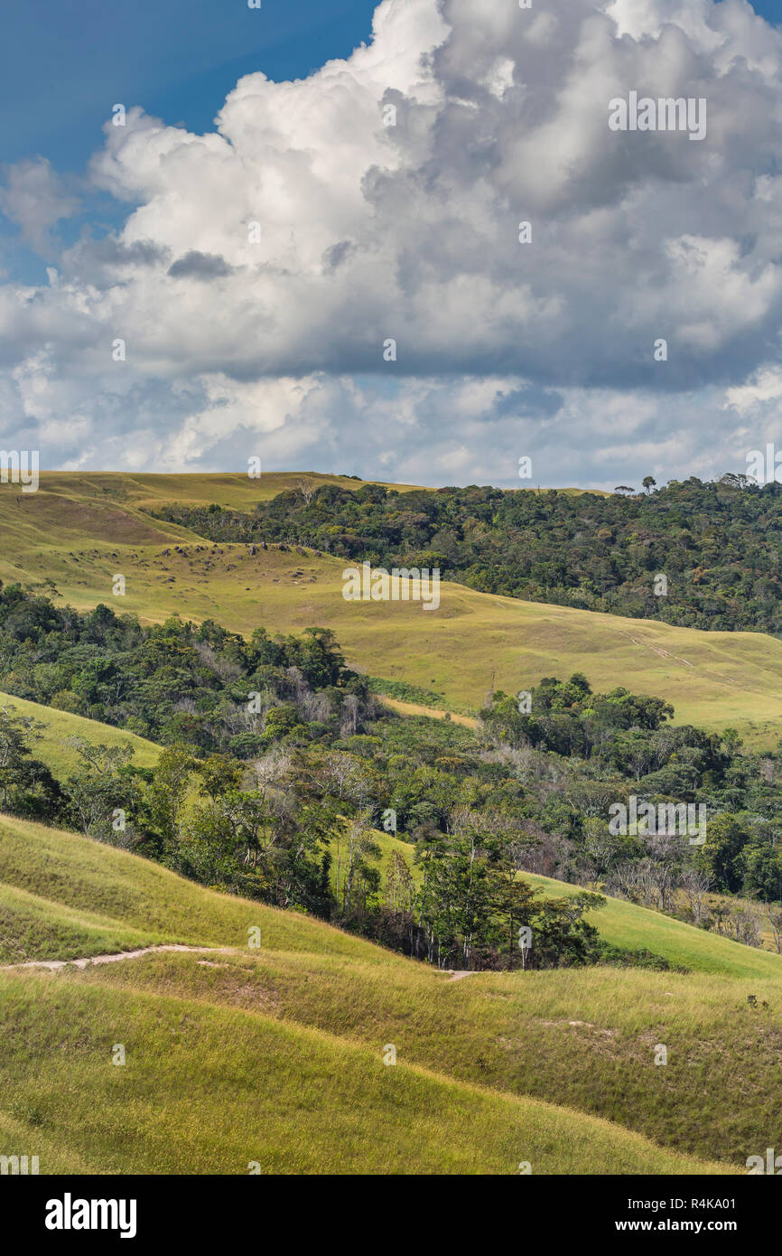 Gran sabana rain hi-res stock photography and images - Alamy