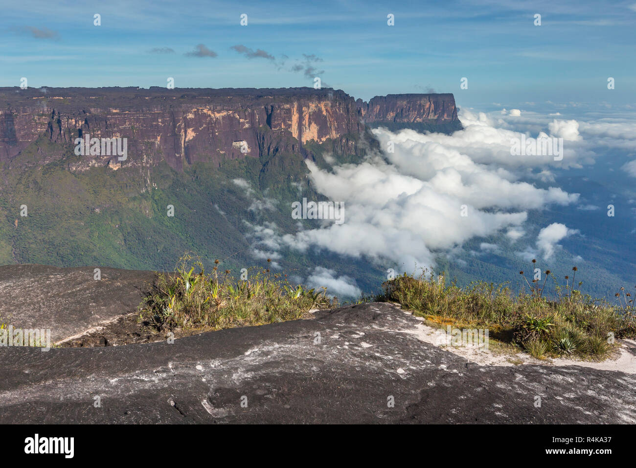 View from the Roraima tepui on Kukenan tepui at the mist - Venezuela ...