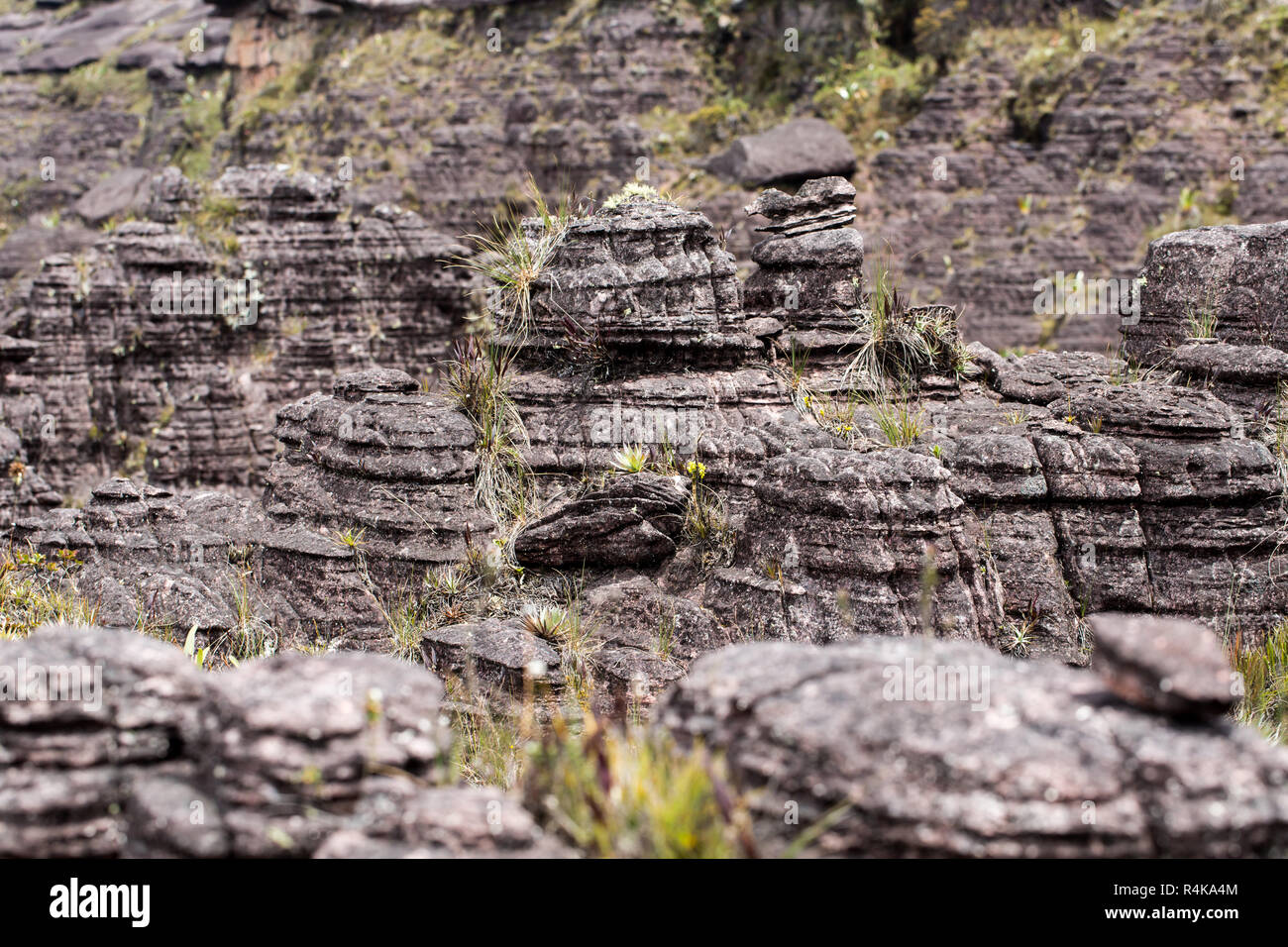 Bizarre ancient rocks of the plateau Roraima tepui - Venezuela, Latin ...