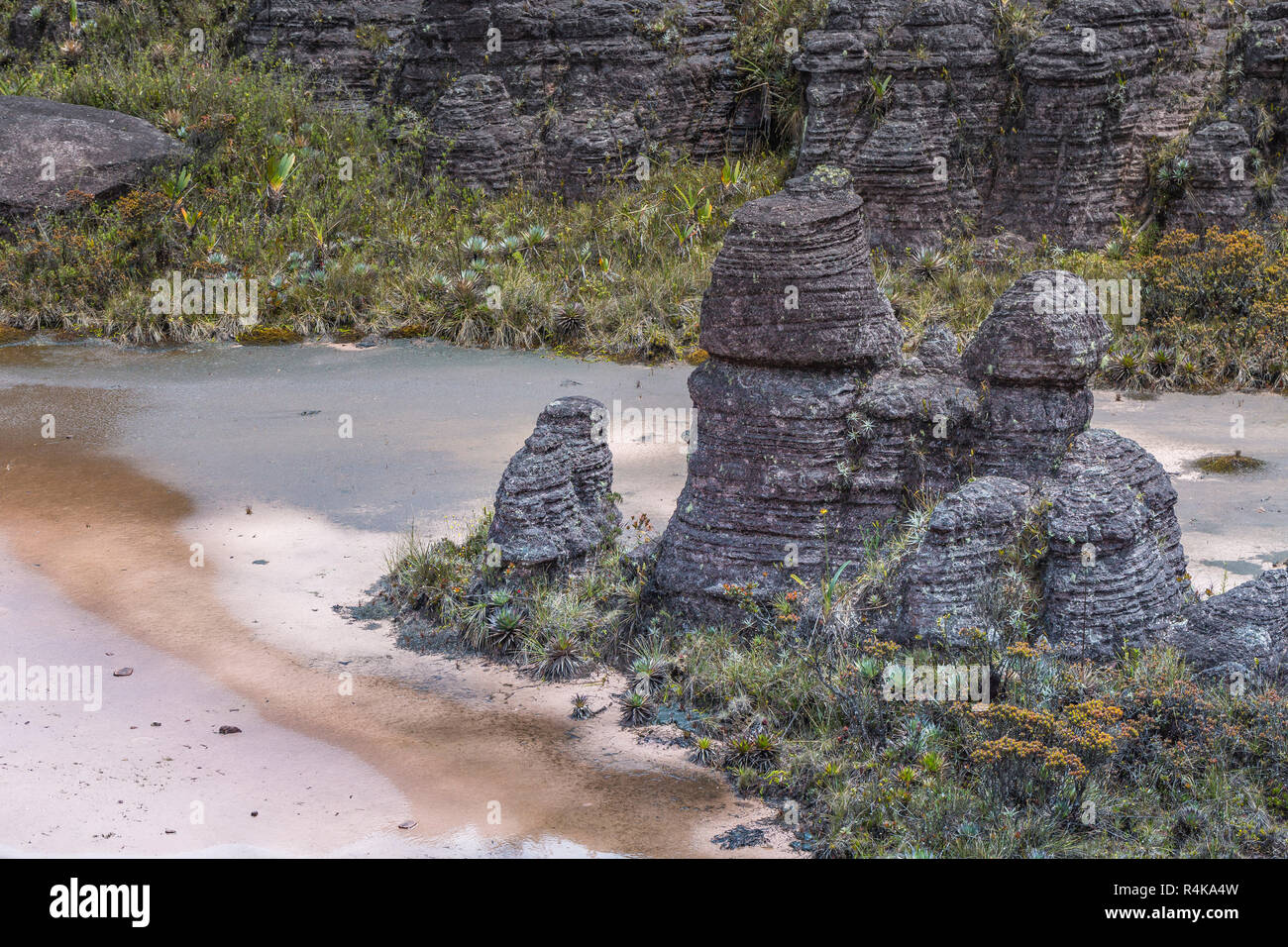 Bizarre ancient rocks of the plateau Roraima tepui - Venezuela, Latin ...