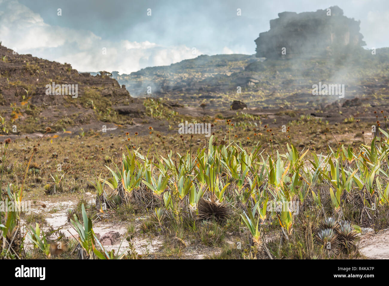 Bizarre ancient rocks of the plateau Roraima tepui - Venezuela, Latin ...