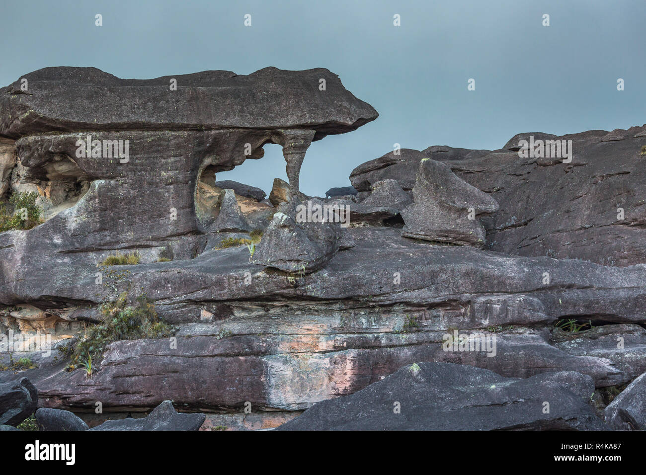 Bizarre ancient rocks of the plateau Roraima tepui - Venezuela, Latin ...