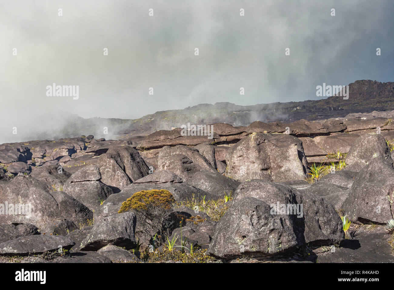 Bizarre ancient rocks of the plateau Roraima tepui - Venezuela, Latin ...