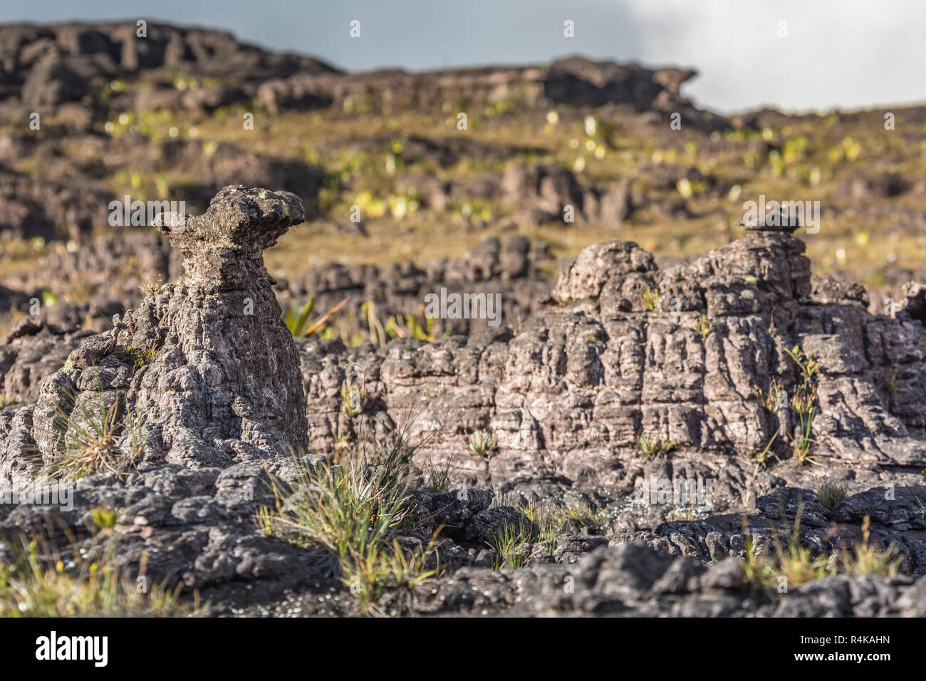 Bizarre ancient rocks of the plateau Roraima tepui - Venezuela, Latin ...