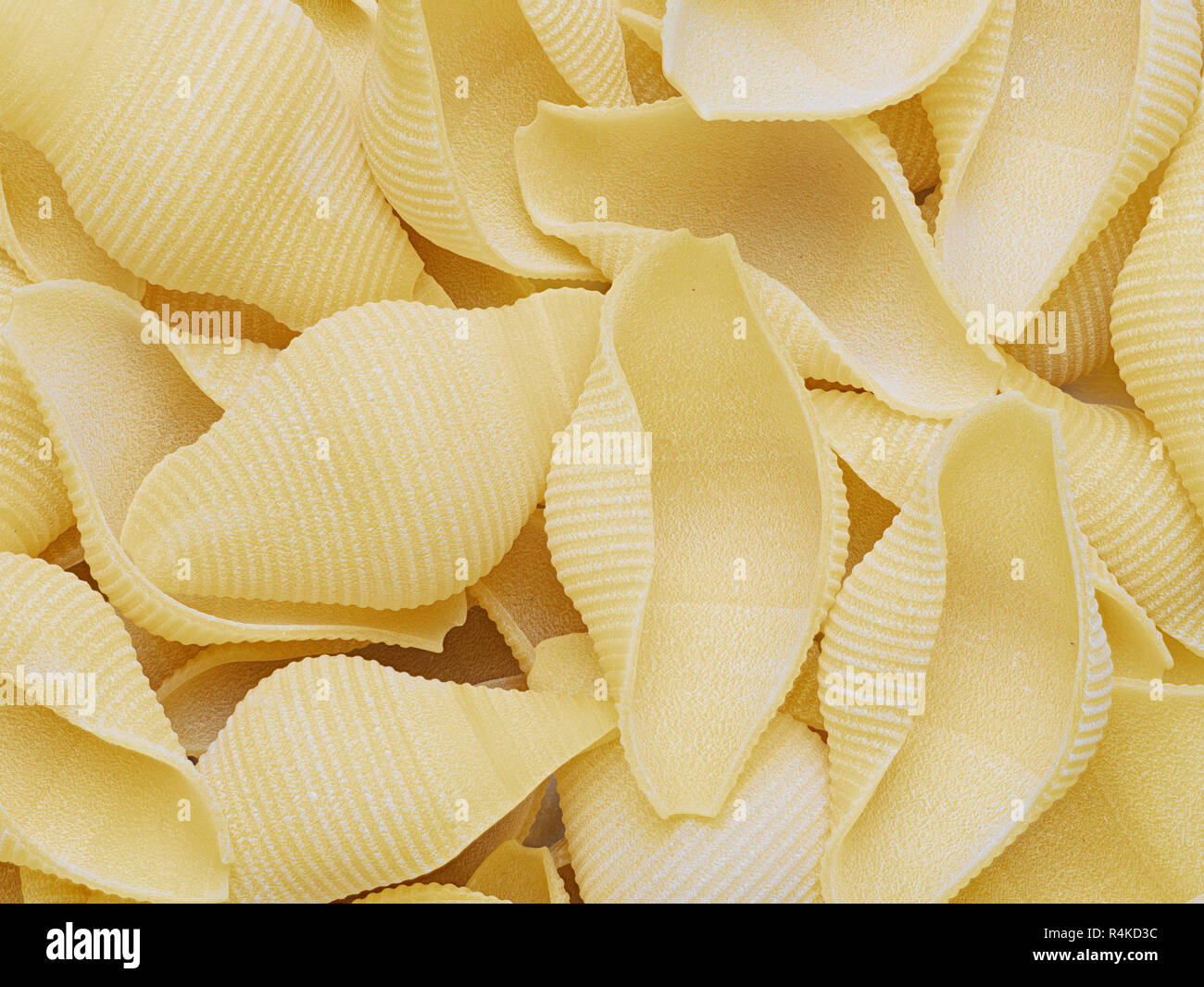 raw uncooked conchiglie jumbo shell pasta food background Stock Photo ...