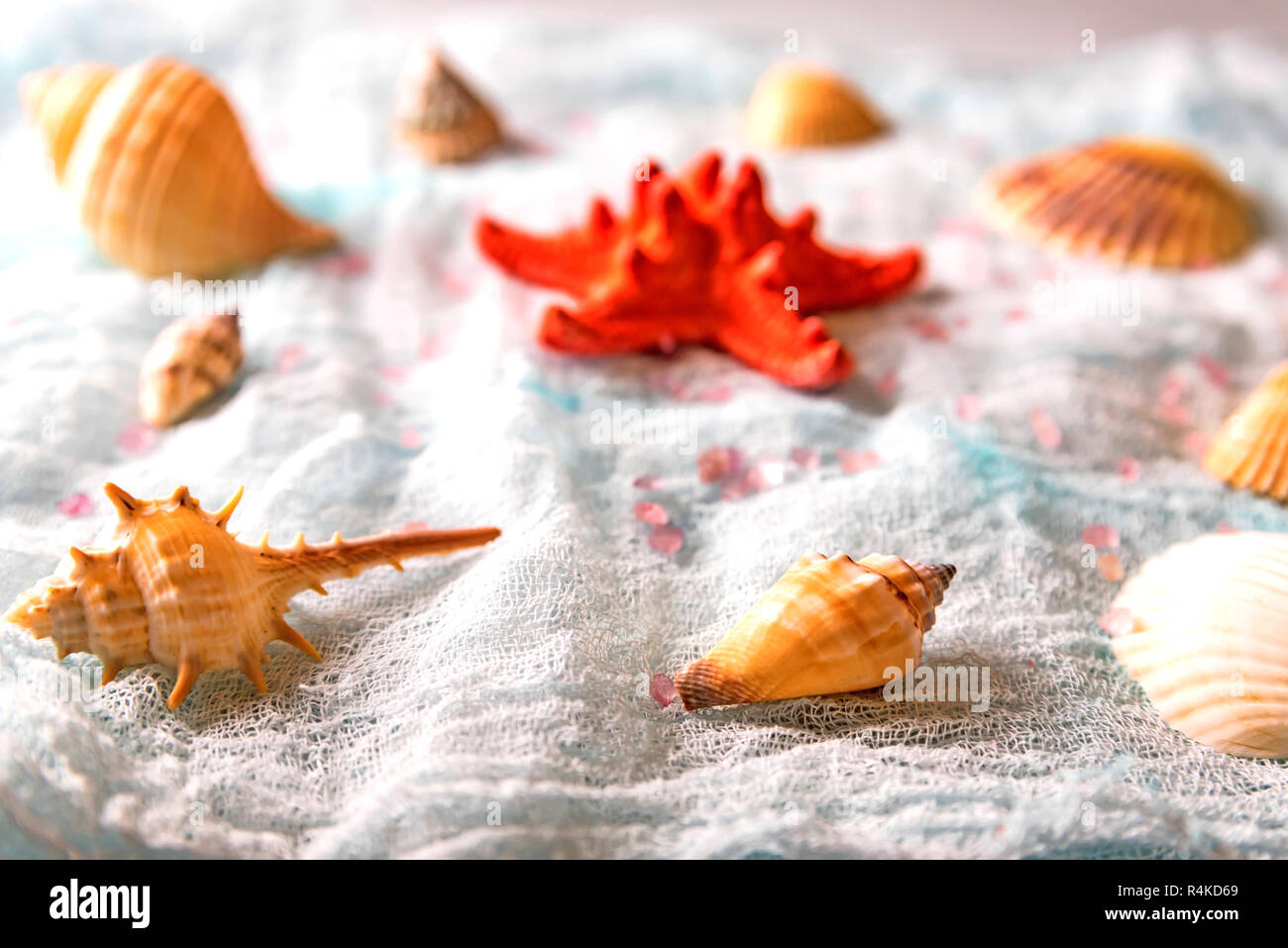 Seashells and starfish on white cloth background Stock Photo - Alamy