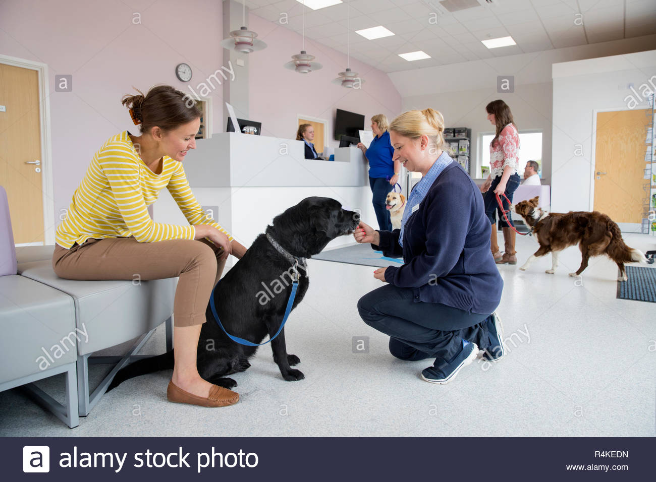 Hospital Appointment Uk Stock Photos & Hospital Appointment Uk Stock ...
