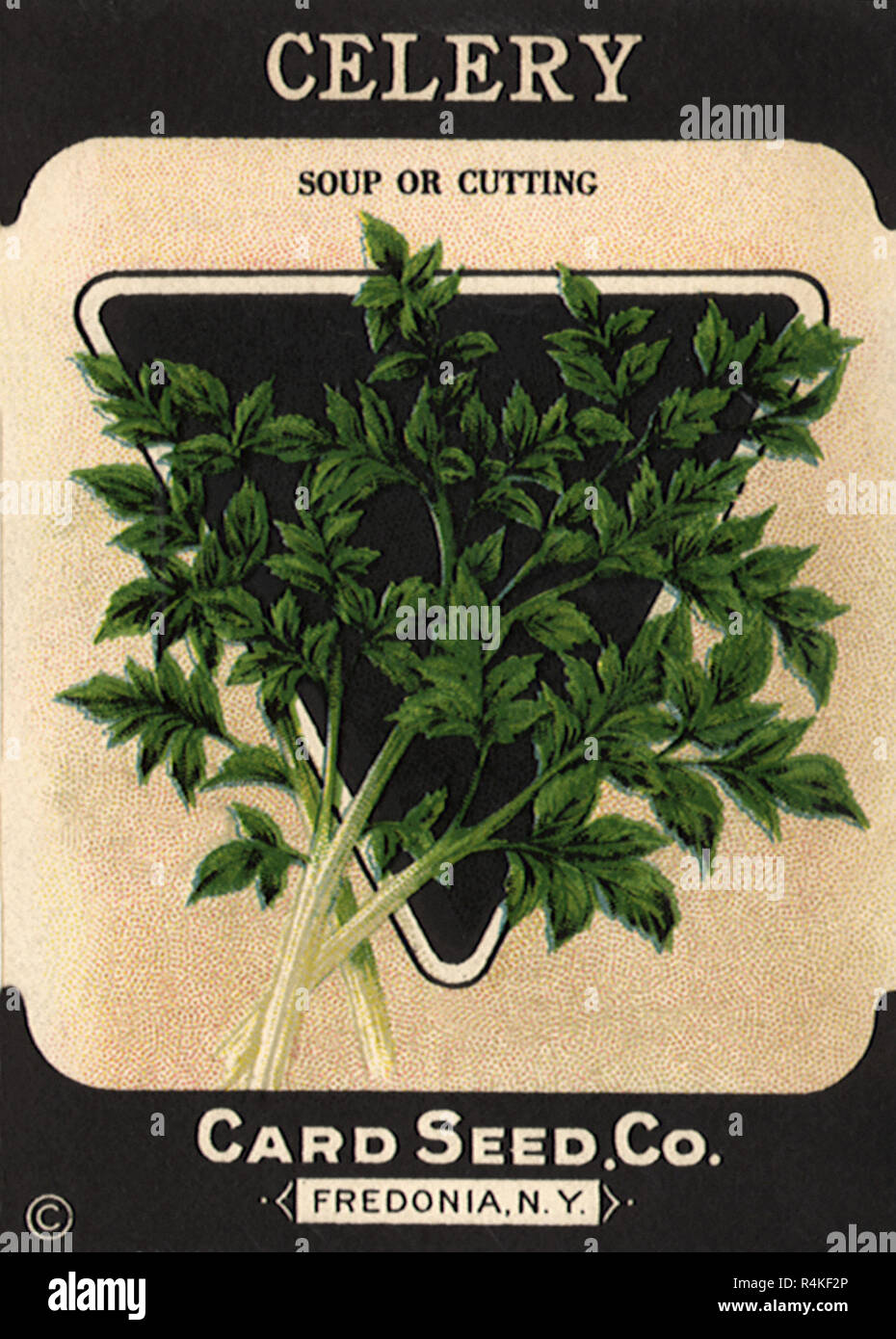 Celery Seed Packet Stock Photo - Alamy