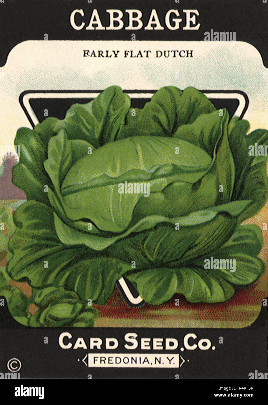 Cabbage Seed Packet Stock Photo - Alamy