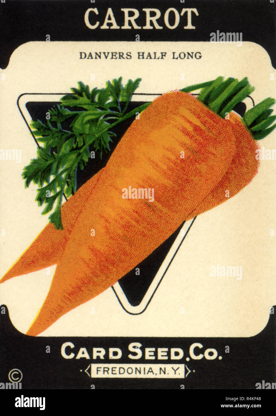 Carrot Seed Packet Stock Photo - Alamy