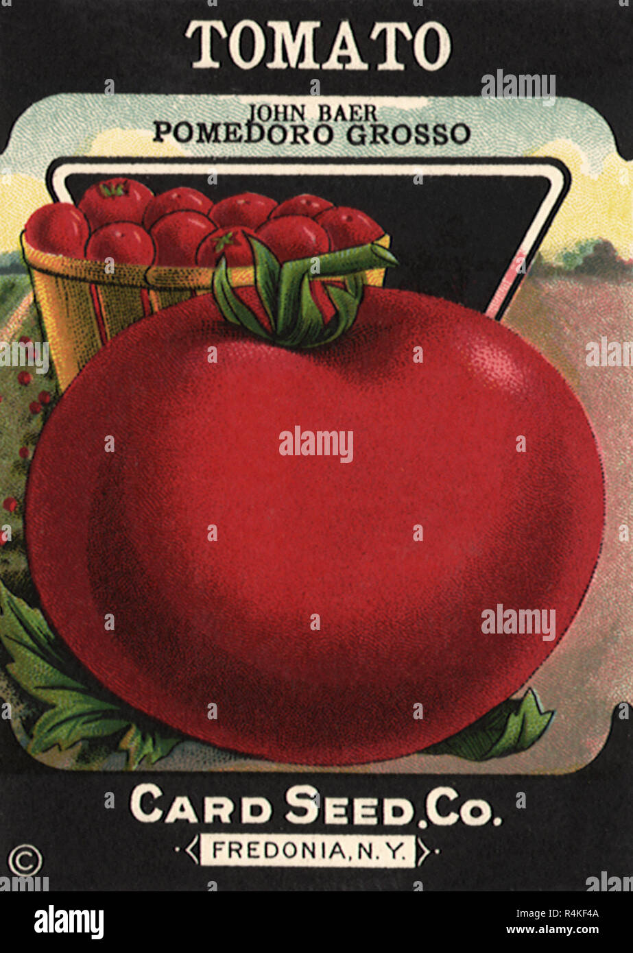 Tomato Seed Packet Stock Photo - Alamy