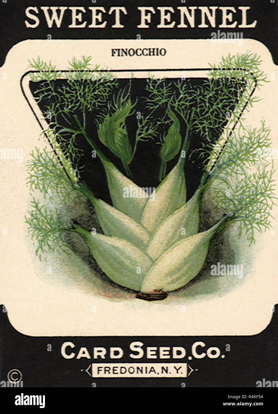 Sweet Fennel Packet Stock Photo - Alamy