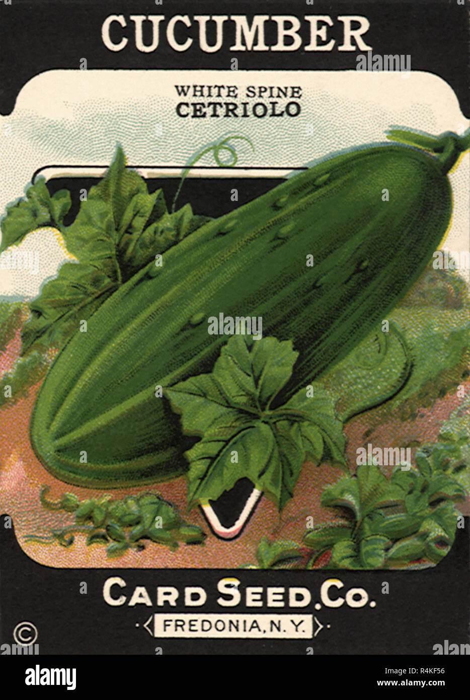 Cucumber labels hi-res stock photography and images - Alamy