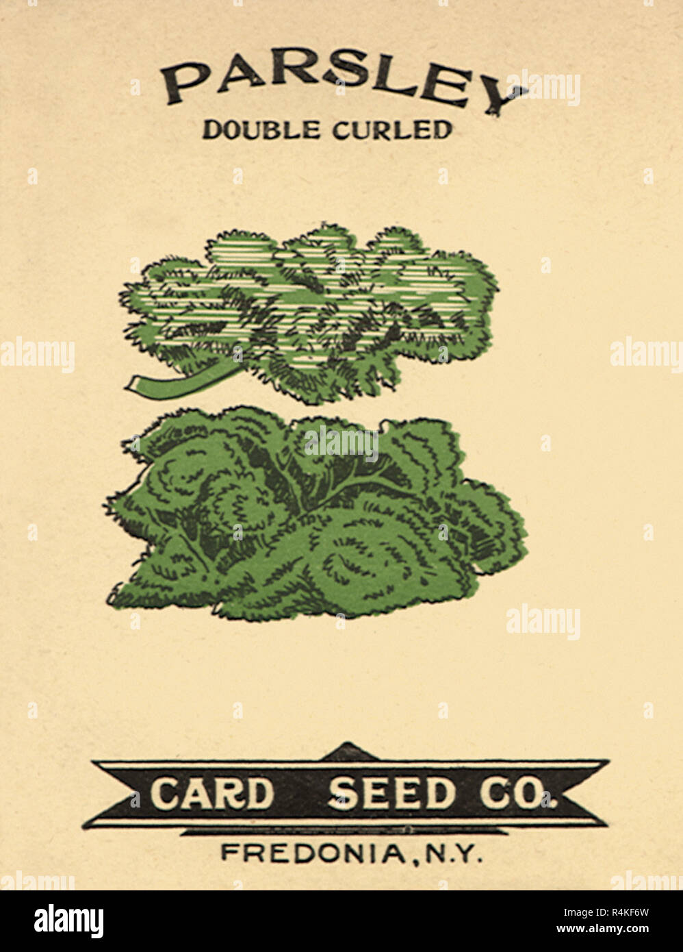 Parsley Seed Packet