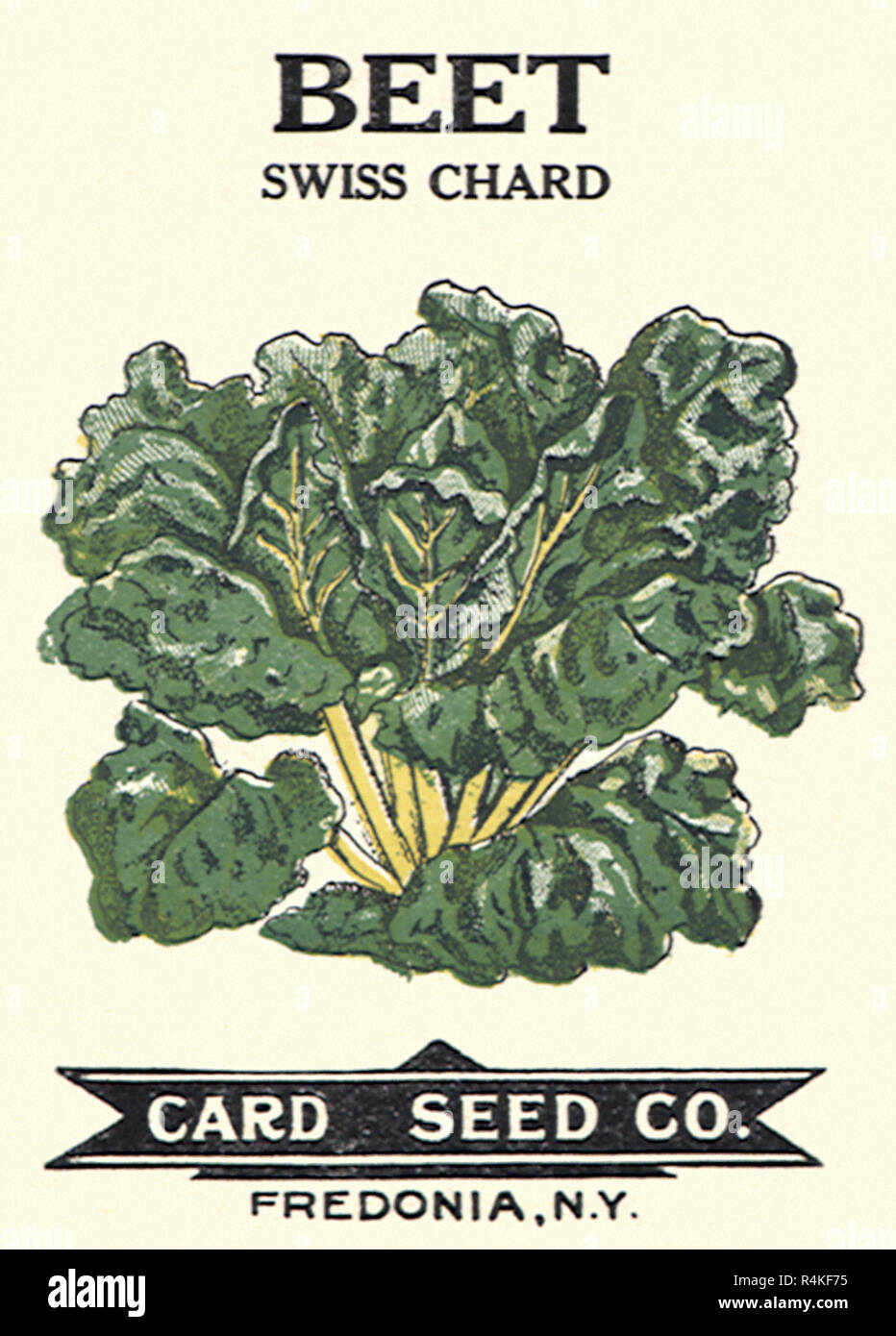 Beet Seed Packet Stock Photo - Alamy