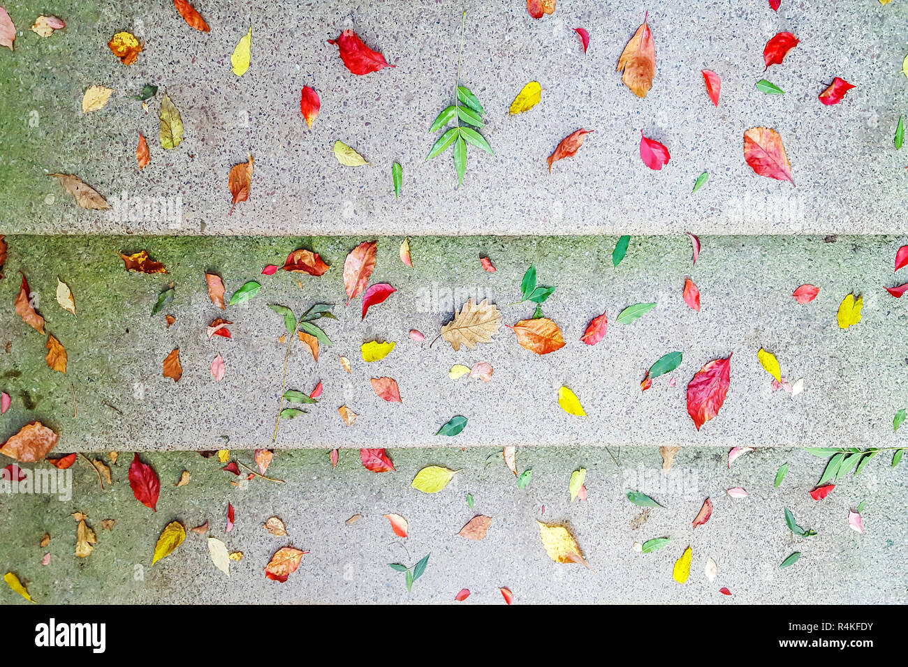 Autumn leaves on concrete stairs as backgrounds Stock Photo - Alamy
