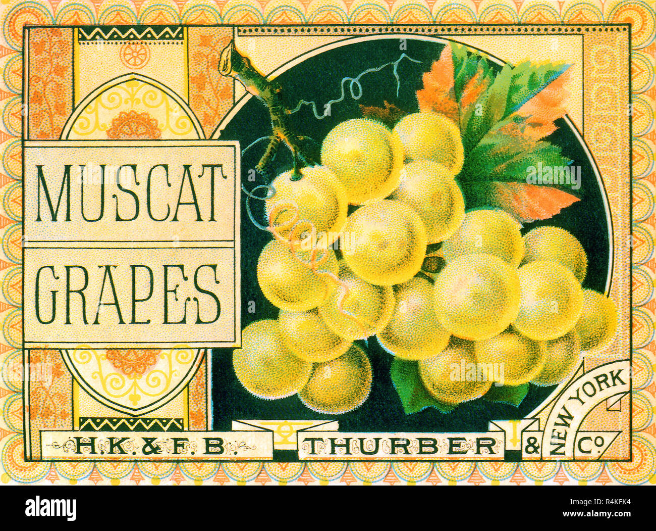 Grapes illustration hi-res stock photography and images - Alamy