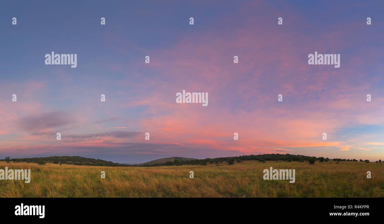 Pink Free State Sky Stock Photo - Alamy