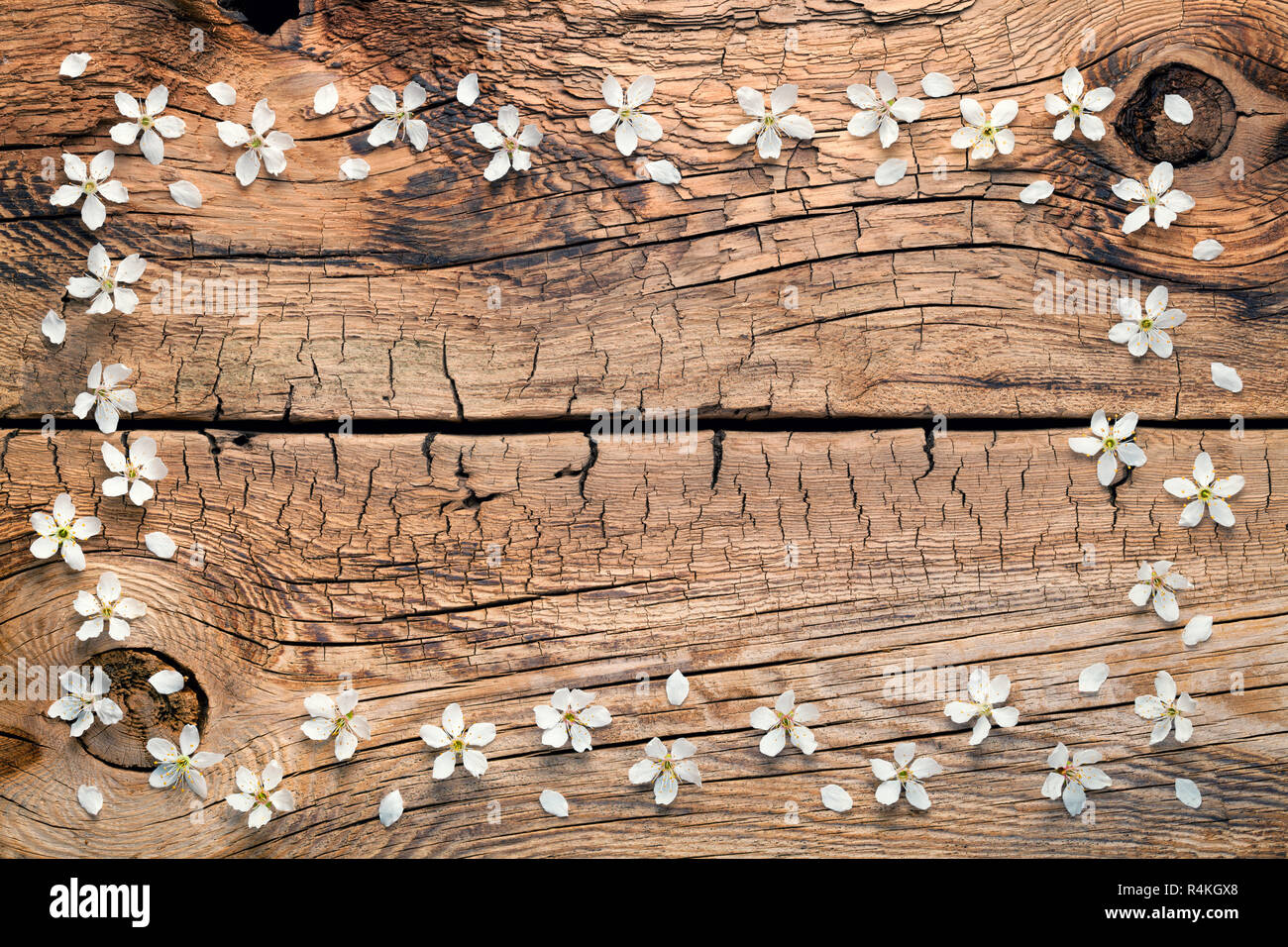 spring flowers on wood background Stock Photo - Alamy