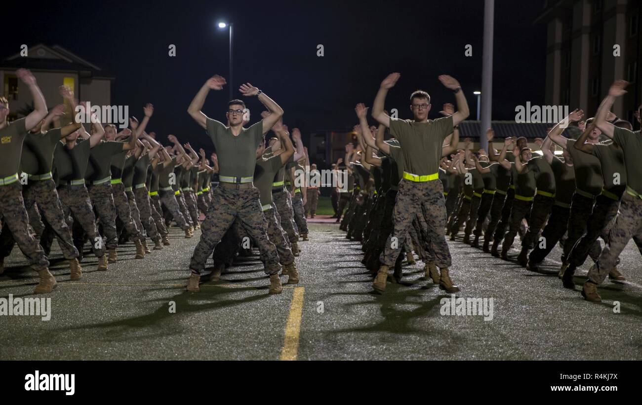 U.S. Marines with 3rd Marine Regiment, 3rd Marine Division conduct side ...