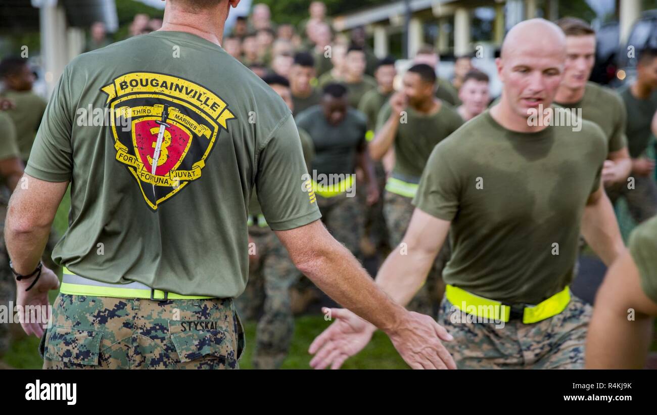 U.S. Marine Corps Col. Michael Styskal, commanding officer, 3rd Marine ...