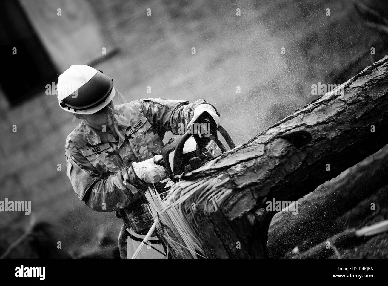 46th engineer battalion Black and White Stock Photos & Images - Alamy