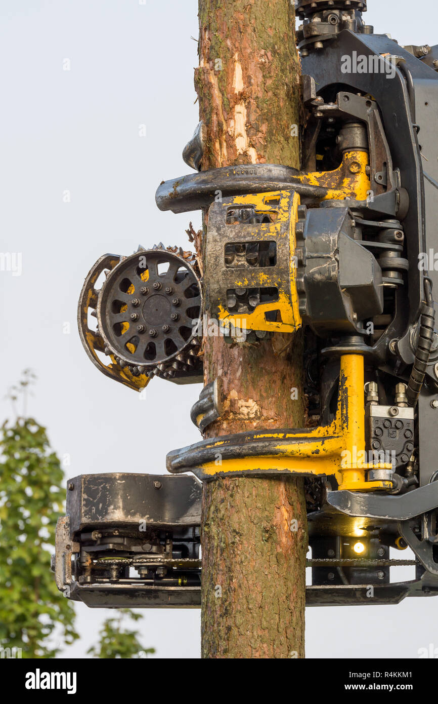 Current grasp hi-res stock photography and images - Alamy