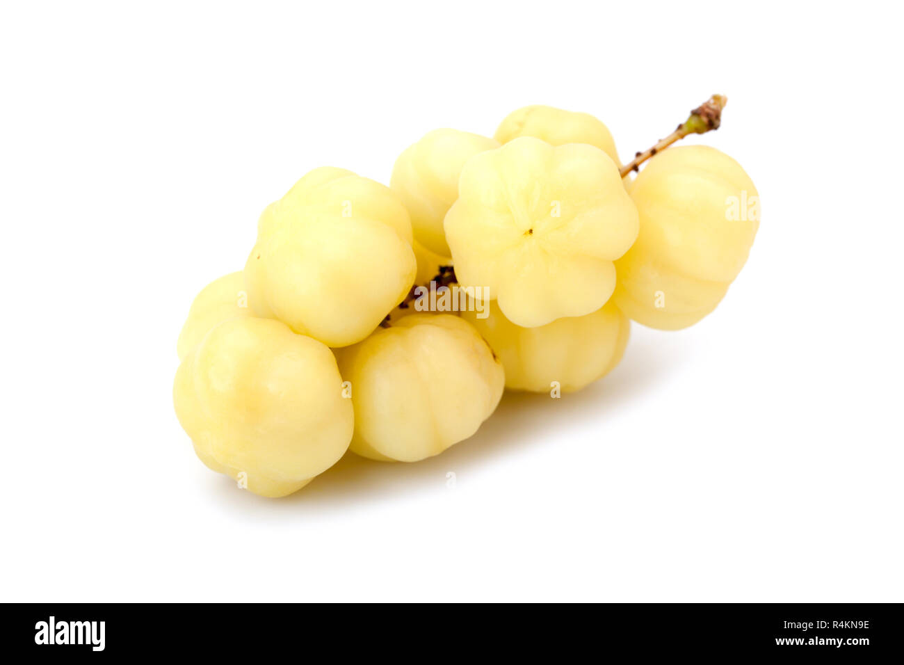 Native gooseberry Cut Out Stock Images & Pictures - Alamy