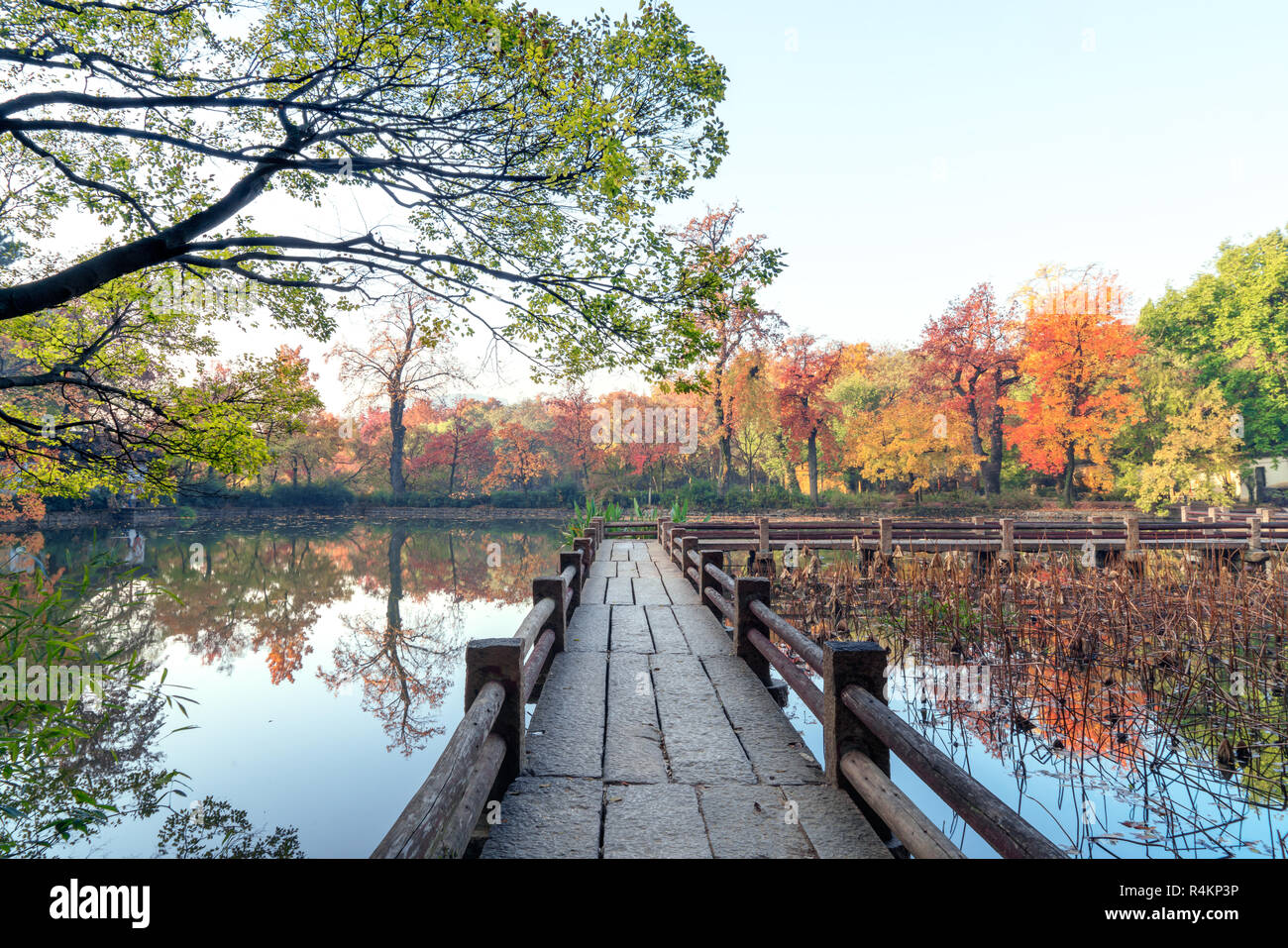 the autumn in the park of Suzhou, China Stock Photo - Alamy