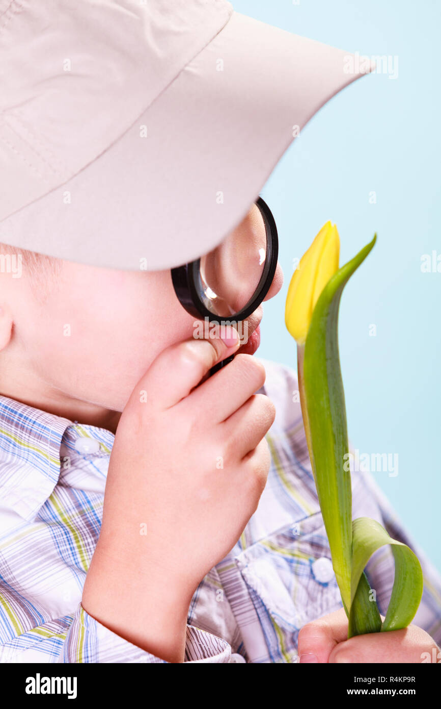 Early education nature and biology. Little boy examine flower with ...