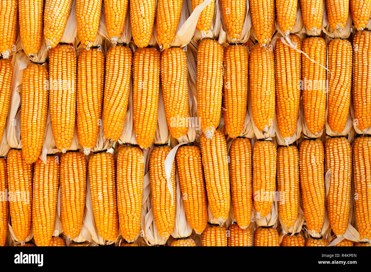 Walls Made of corns Stock Photo - Alamy