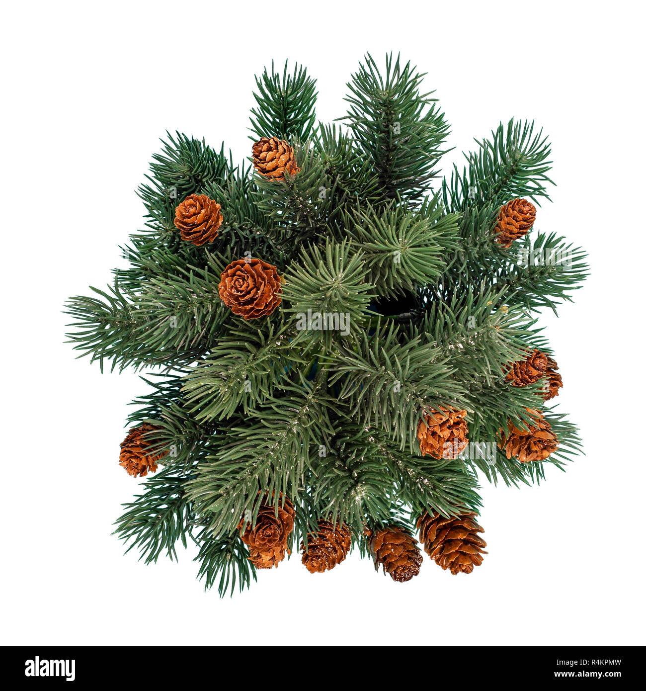 Green fir tree isolated on white background. Top view Stock Photo - Alamy