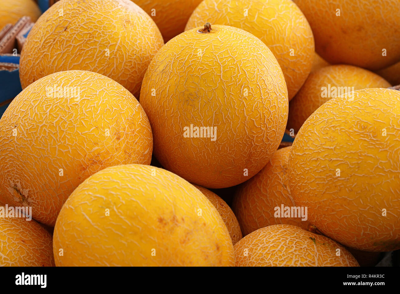 Melon melons display hi-res stock photography and images - Alamy