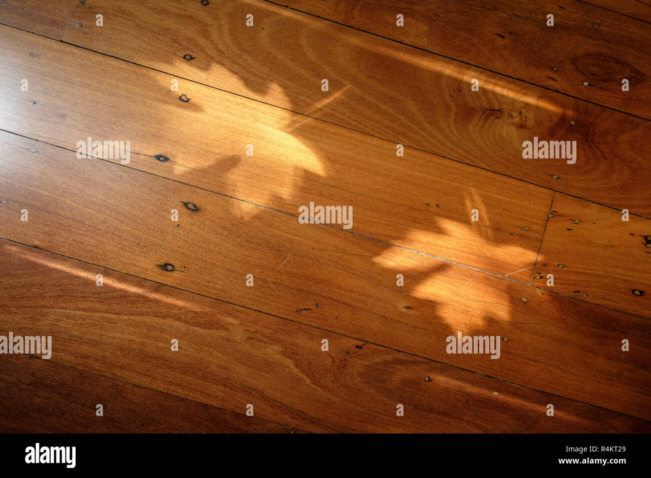 At Homewood Cottages, Highfield Stock Photo - Alamy