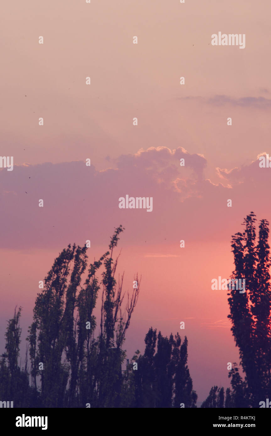 Landscape with dramatic light - beautiful golden sunset with saturated ...