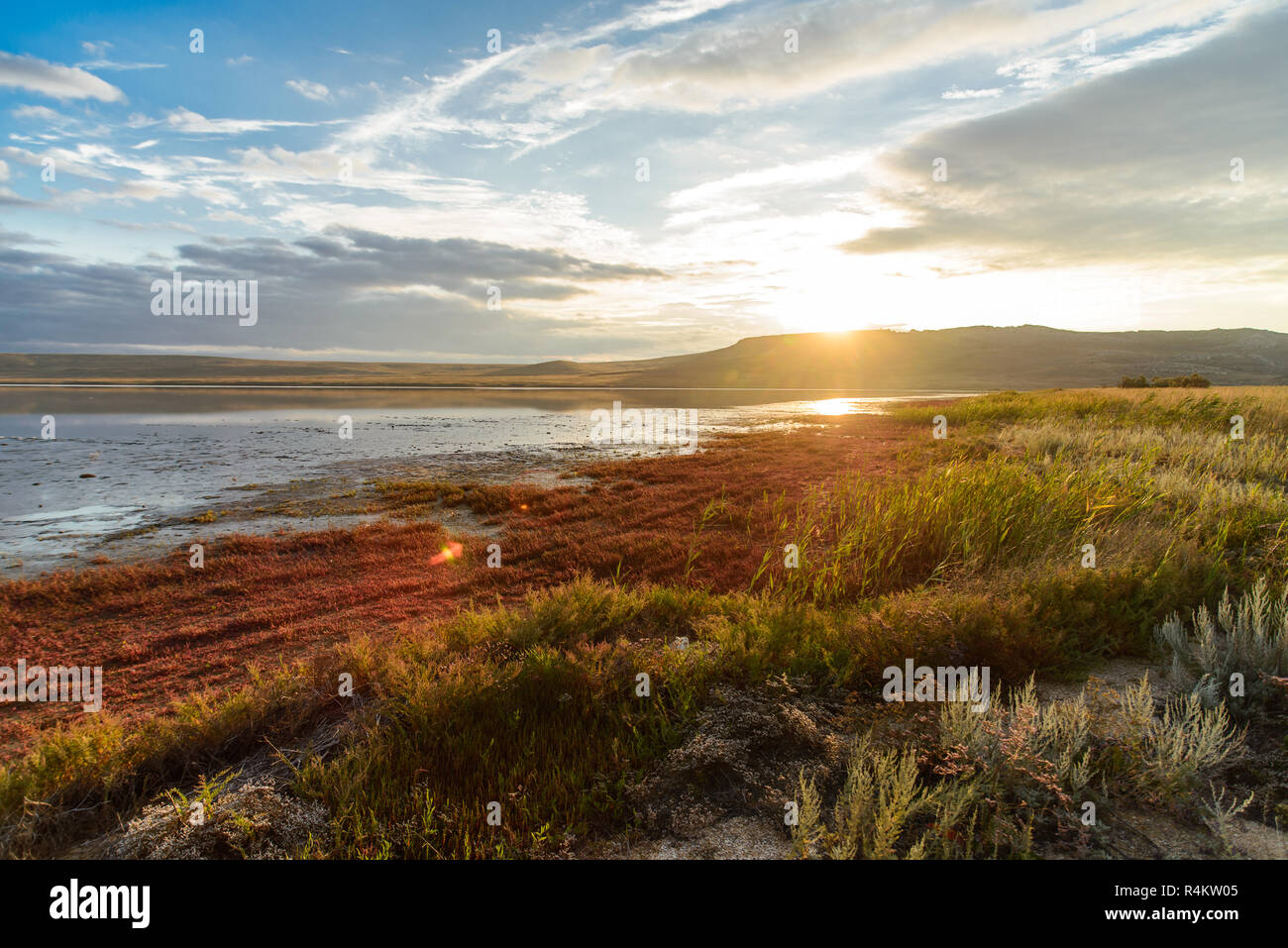 wild nature landscape with salt lake, green and red grass and cloudy ...
