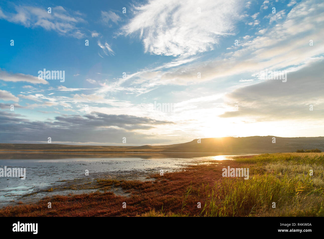 wild nature landscape with salt lake, green and red grass and cloudy ...