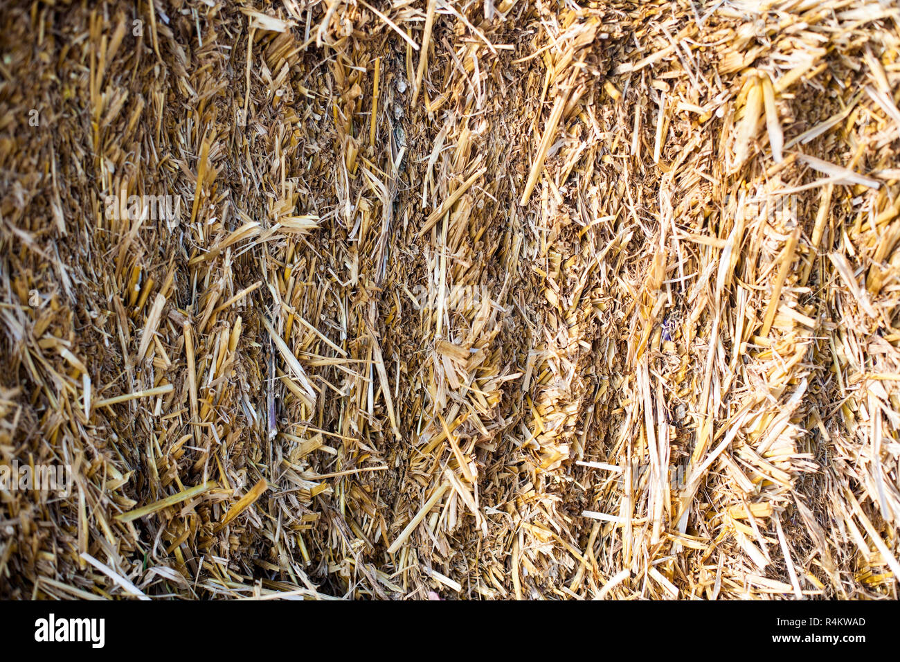 Eco clear hay bale Stock Photo - Alamy