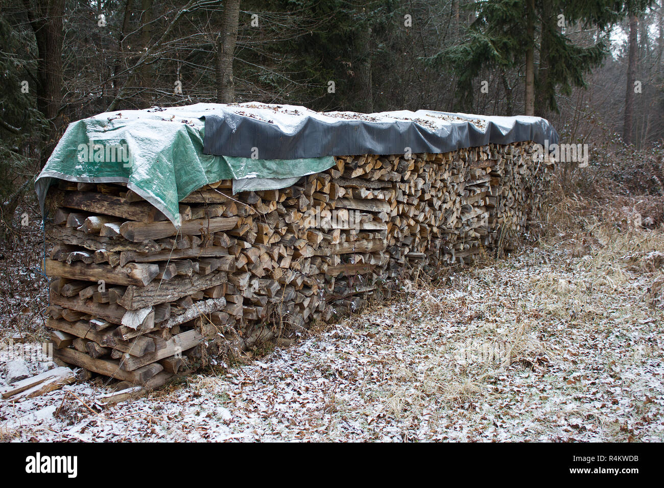 wooden stacks with some snow in a forest in winter in styria Stock ...