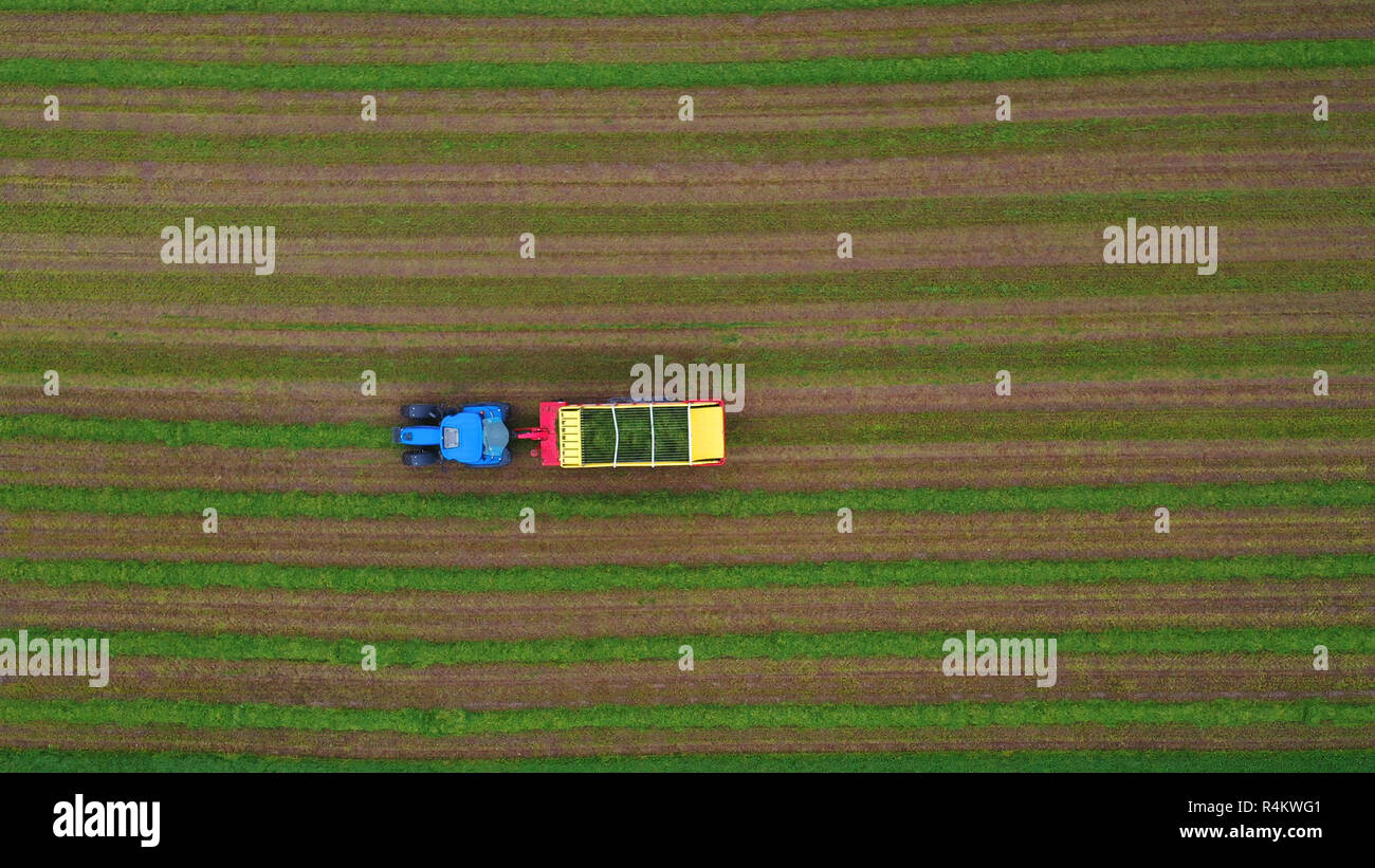 Aerial top view of a tractor working in an arable agriculture farming ...