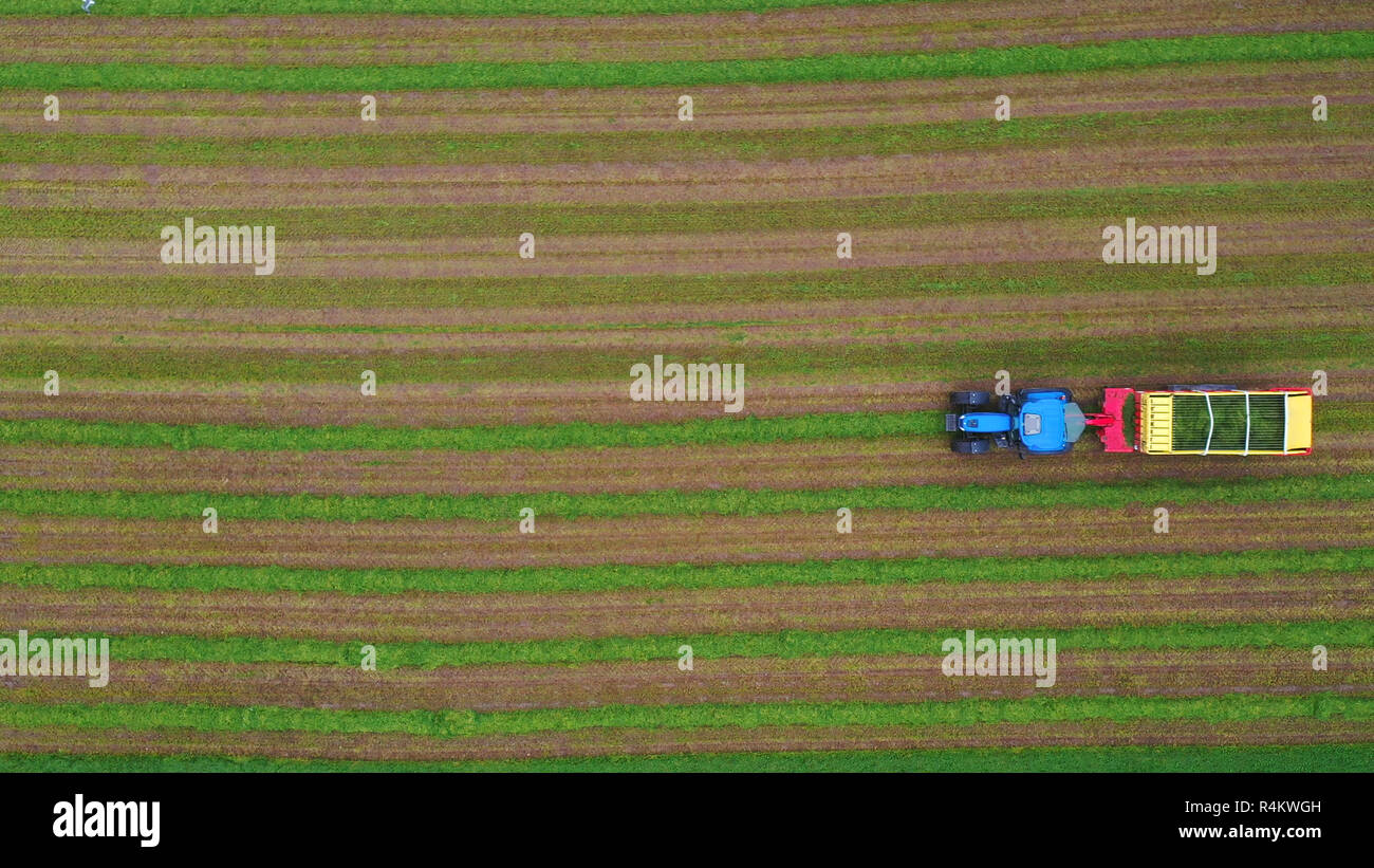 Aerial top view of a tractor working in an arable agriculture farming ...