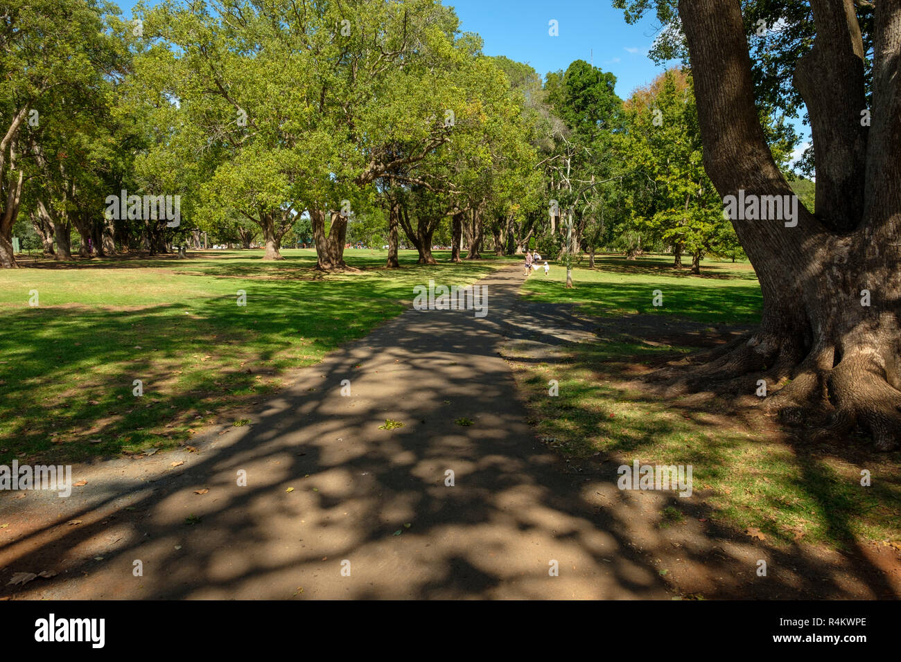 Queens Park Gardens, Toowoomba Stock Photo - Alamy