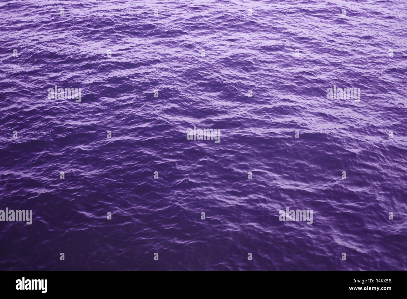 ultraviolet sea water surface with purple waves background. trendy ...