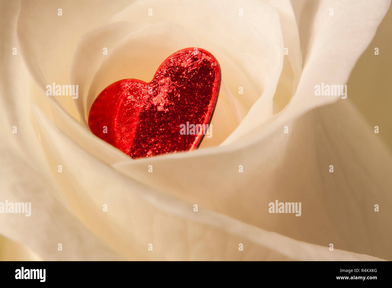 Herz mit rose hi-res stock photography and images - Alamy