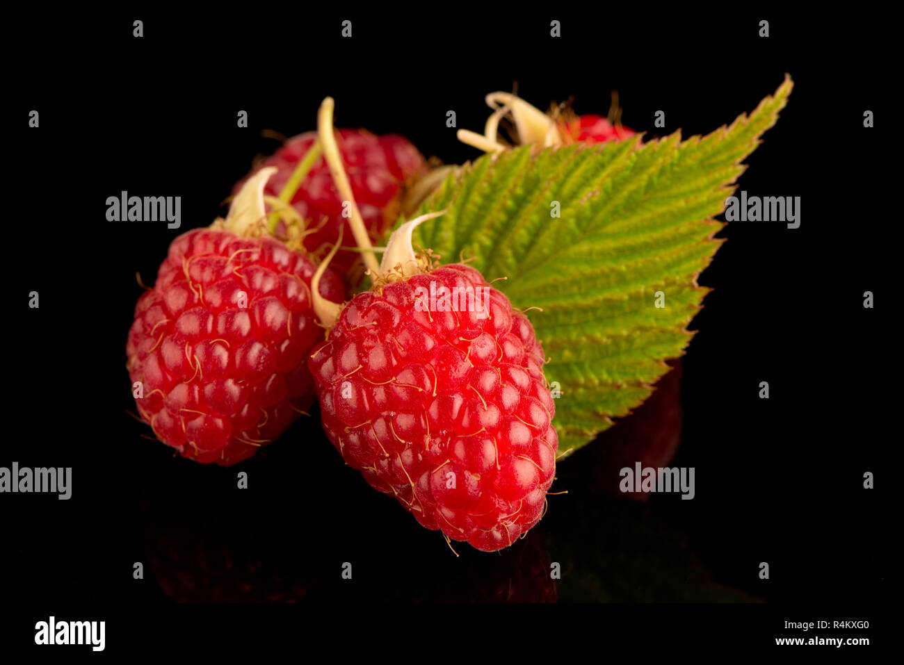 Fresh raspberries on black reflective background Stock Photo - Alamy